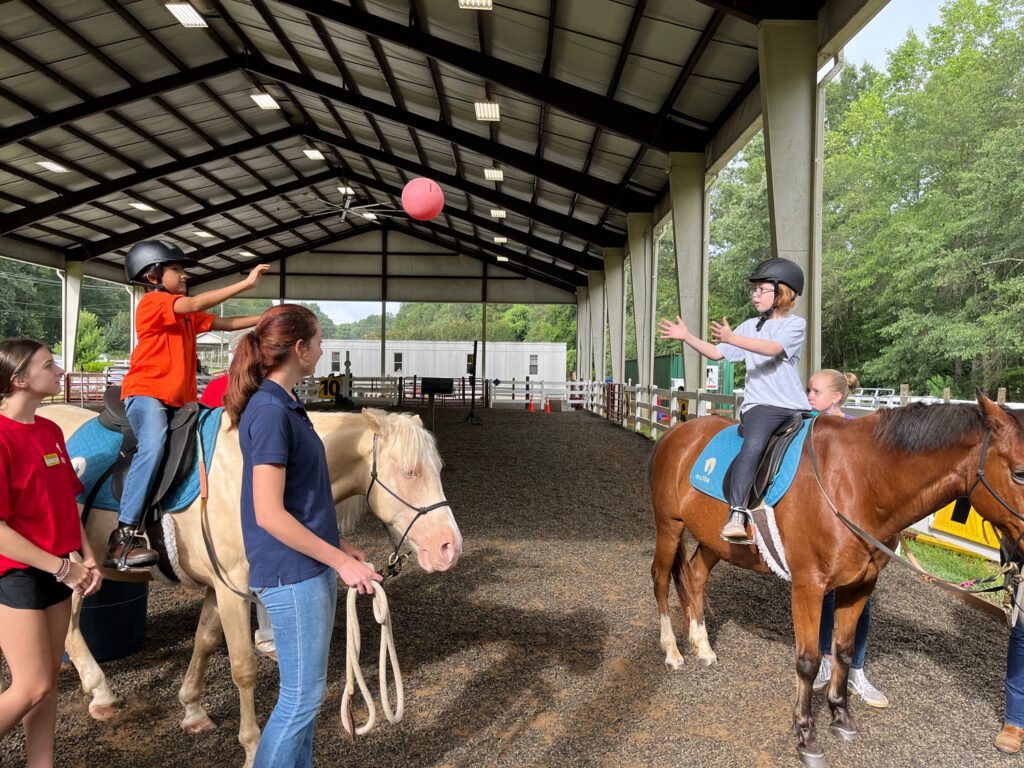 Home | HALTER | Since 1987