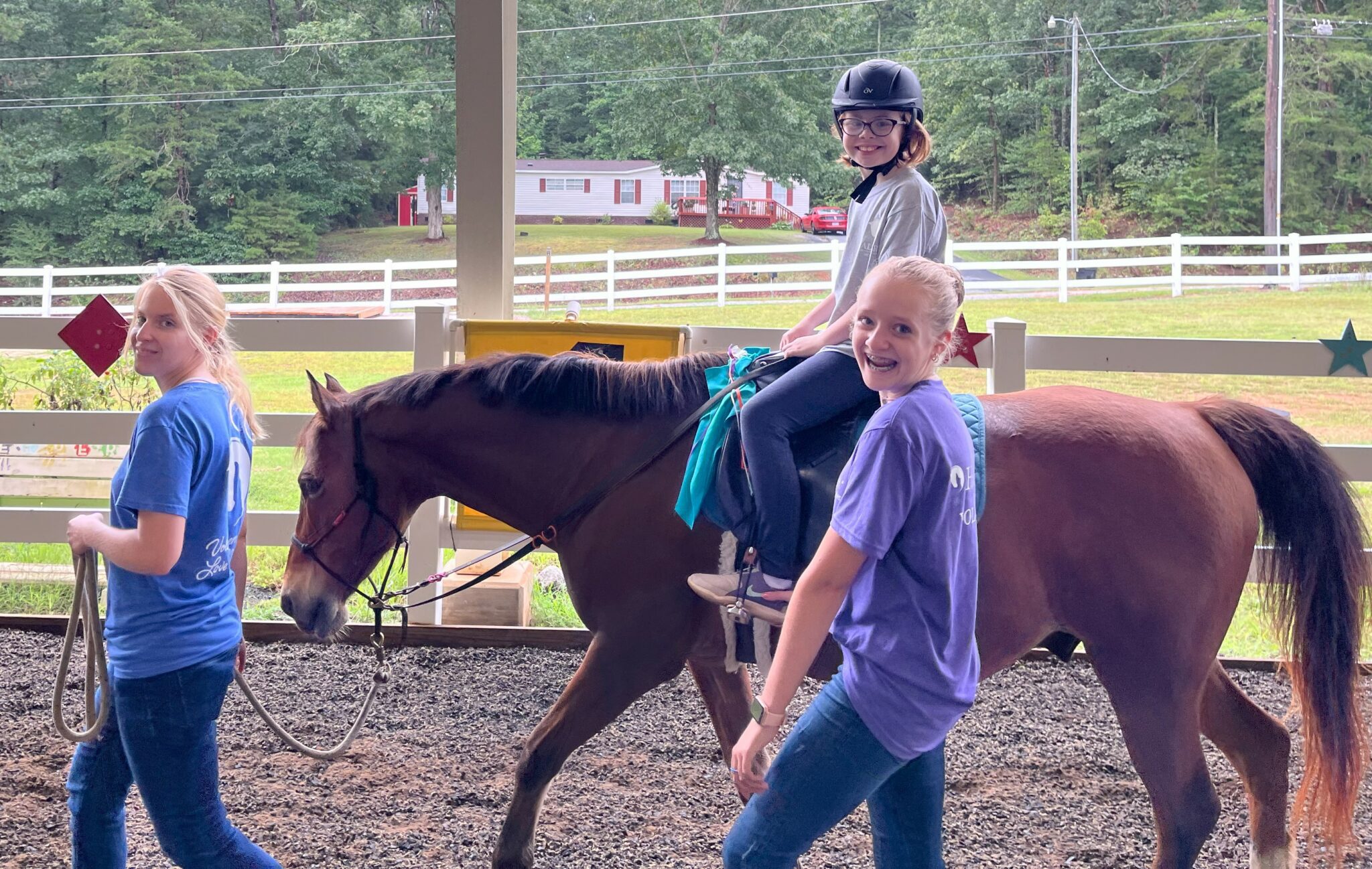 Home | HALTER | Since 1987