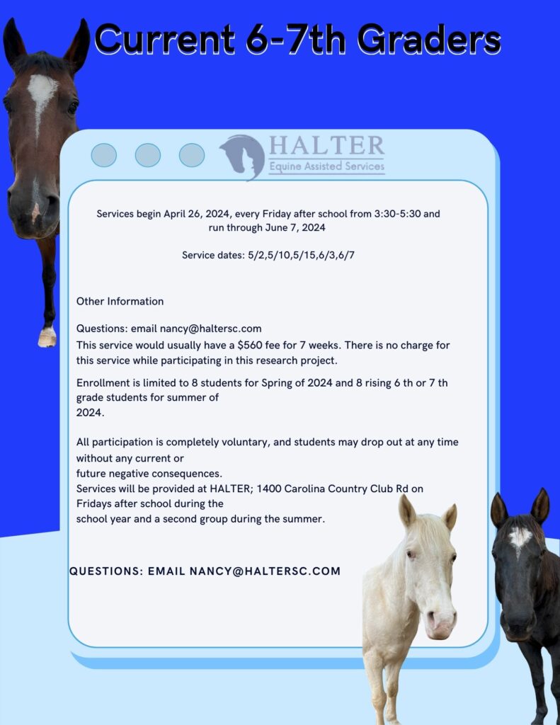 Home | HALTER | Since 1987